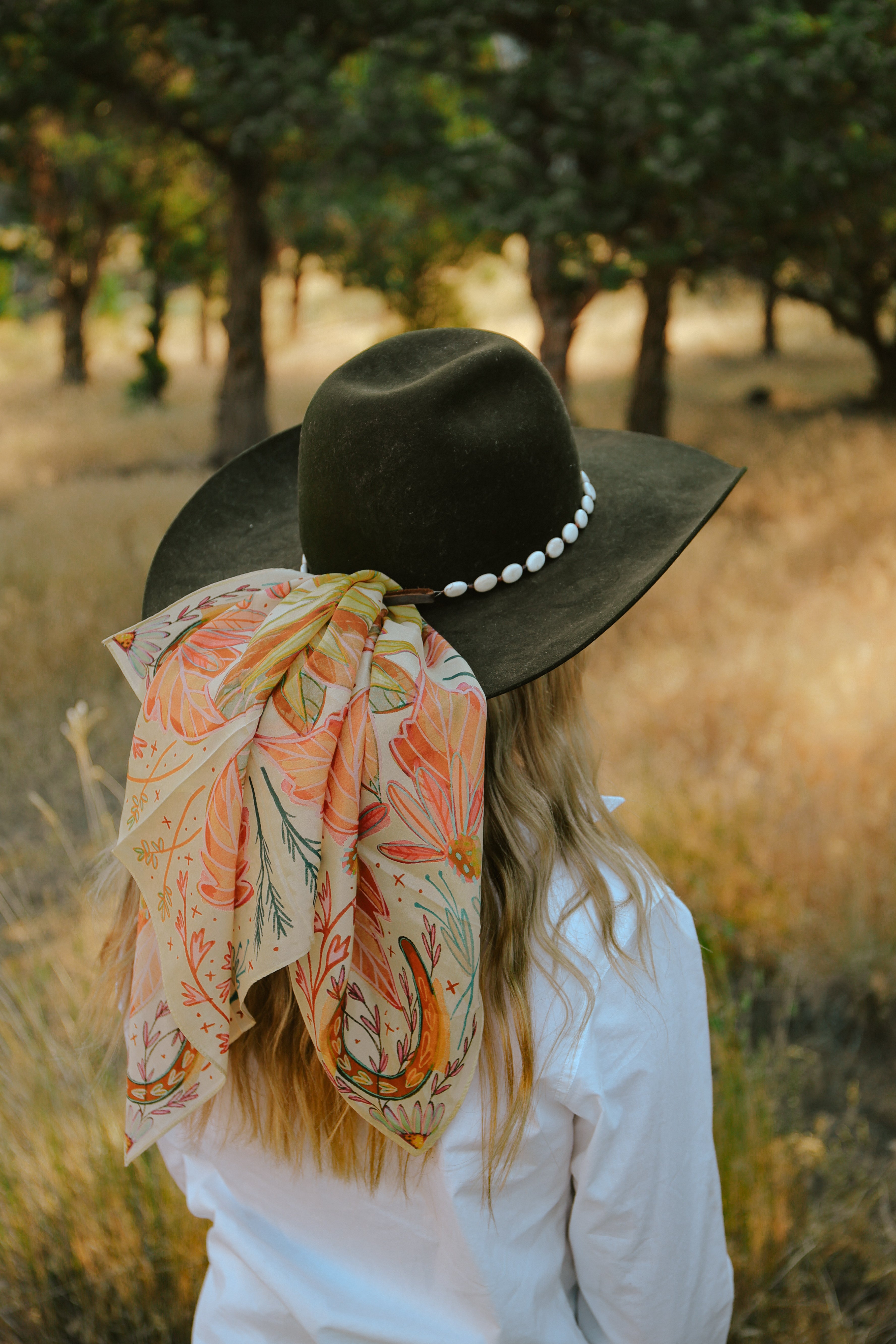 Western Themed Silk Scarves – Tirzah Lane Art